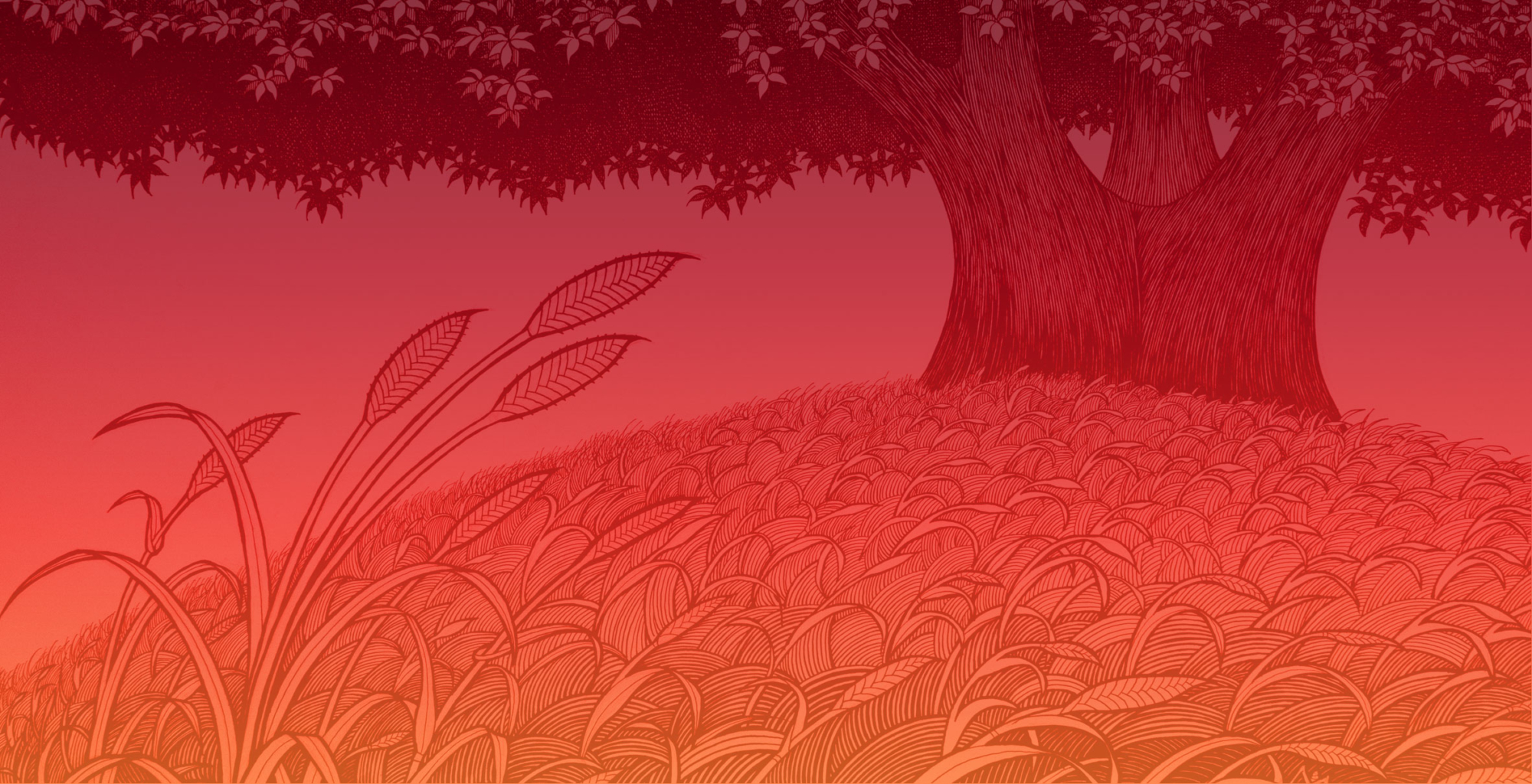 Sustainable Office Supplies | Recycled Paper, Stationery | Red-Inc