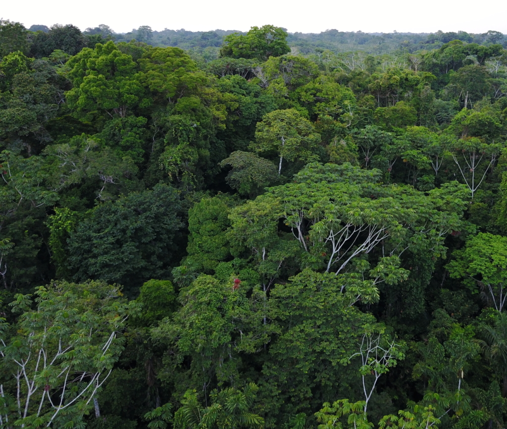 Nature stories | Red-Inc