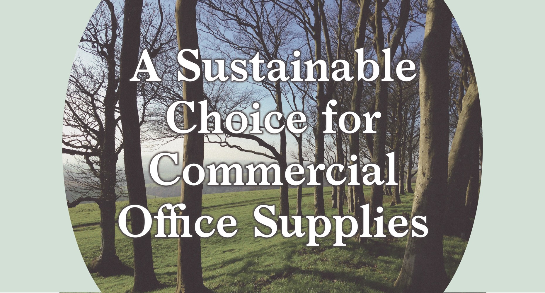 A Sustainable Choice for Commercial Office Supplies | Red-Inc